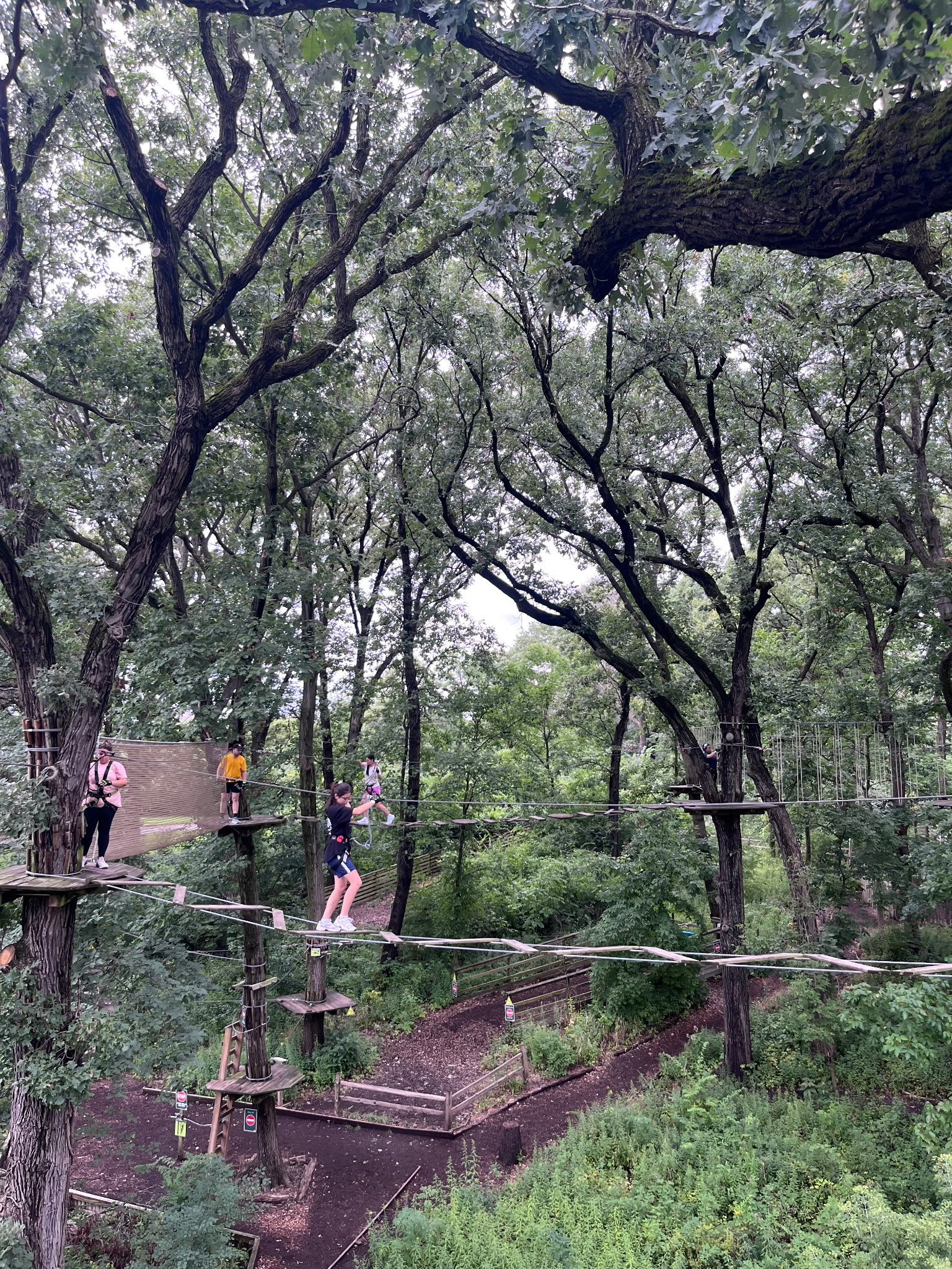 Student Leaders Zip(line) Through Training Week – The Wheaton Record